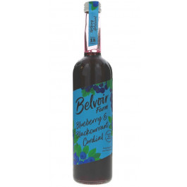 Cordials Blueberry & Blackcurrant - Carton