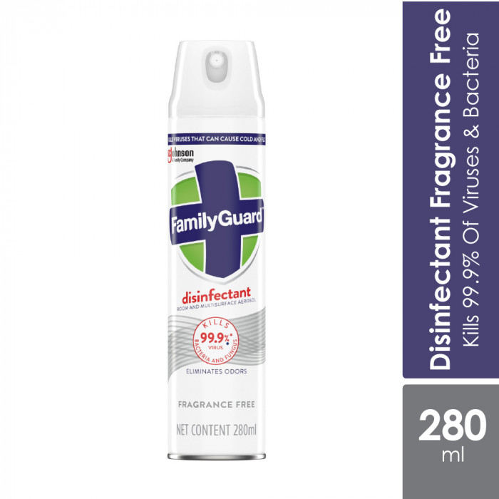 Family Guard DisInfectant Spray Mountain Air - Carton