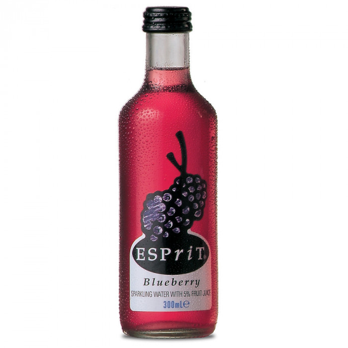 Esprit Sparkling Water Blueberry - Case