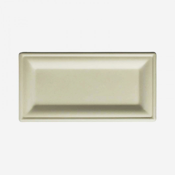 Bagasse Rectangular Plate - Case
