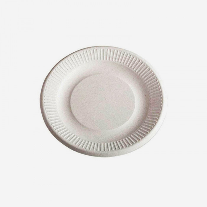 Bagasse Round Paper Plate - Case