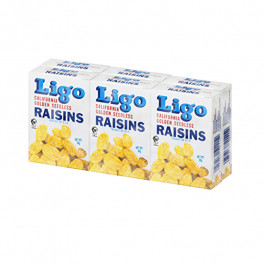 Ligo Raisin Golden - Case